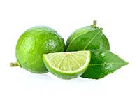 Lime – Bulk Candy Store