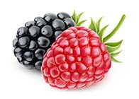 Raspberry – Bulk Candy Store