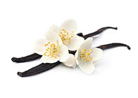 Vanilla – Bulk Candy Store