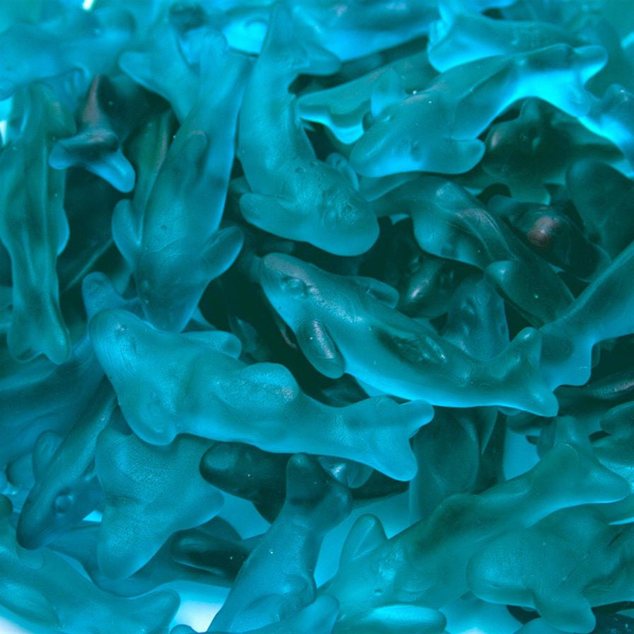 Blue Gummi Dolphins - 2.2 lb Bag – Bulk Candy Store