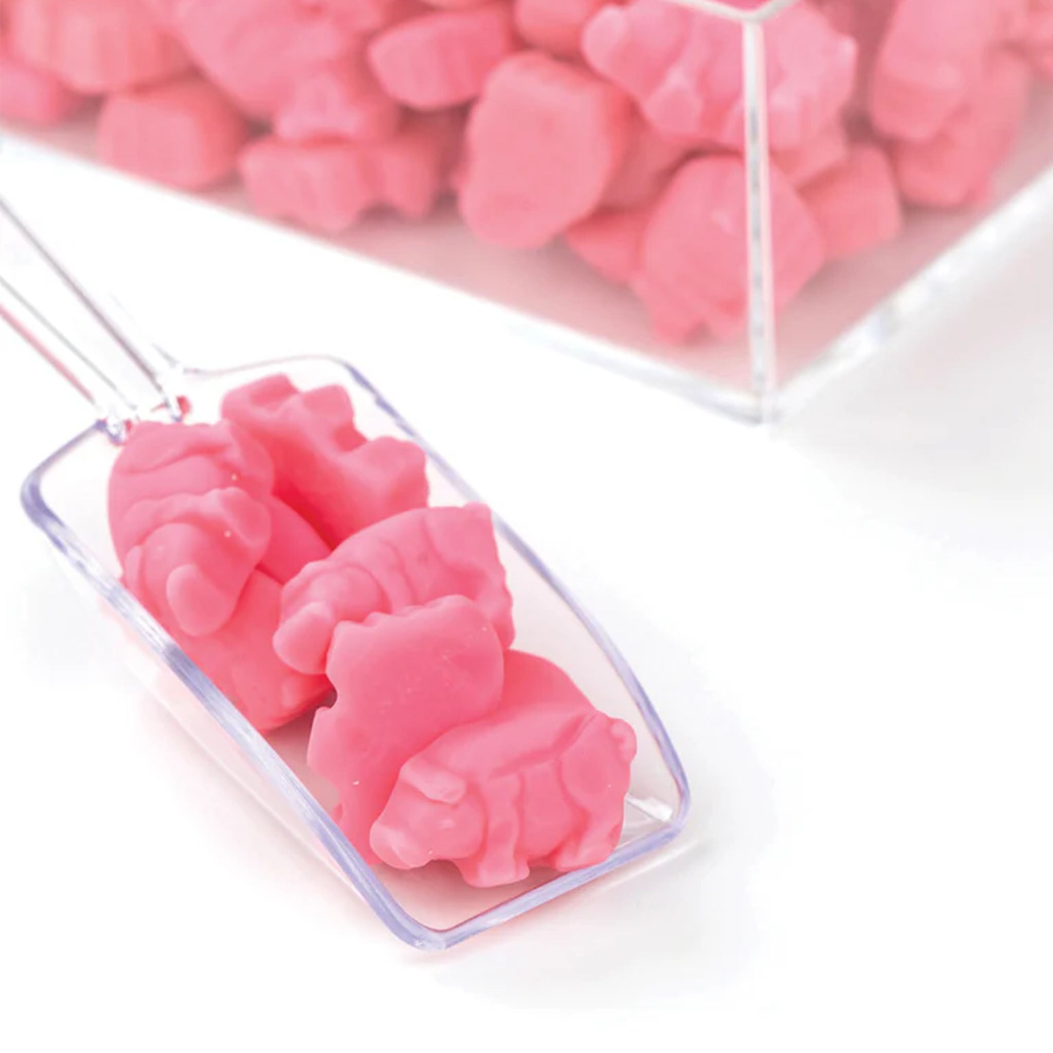 Pink Gummi Piglets – Bulk Candy Store